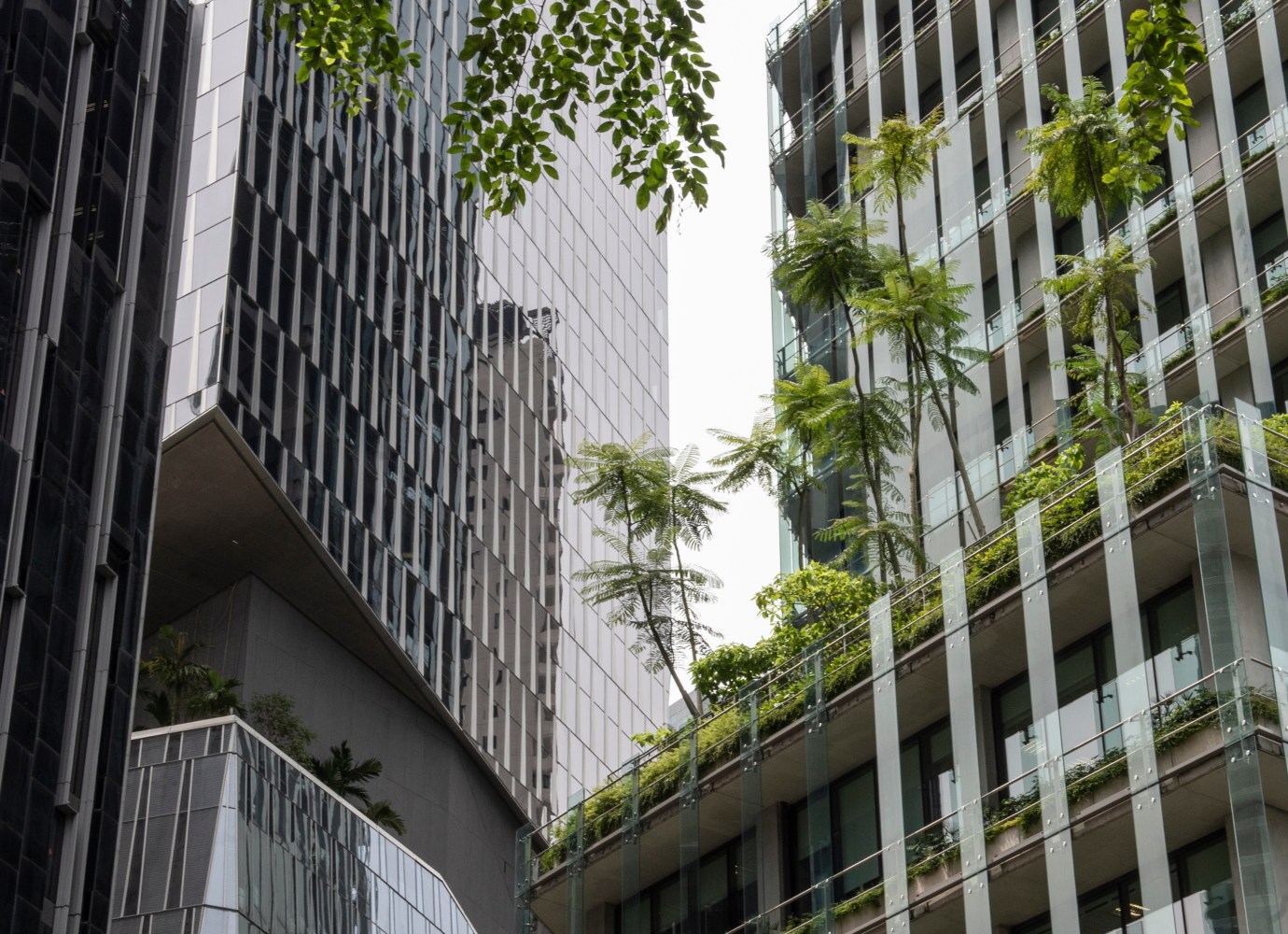 BNP Paribas Cardif | The insurer for a changing world